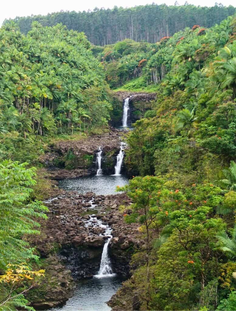 6 Can't-Miss Big Island Waterfalls You Can Swim In