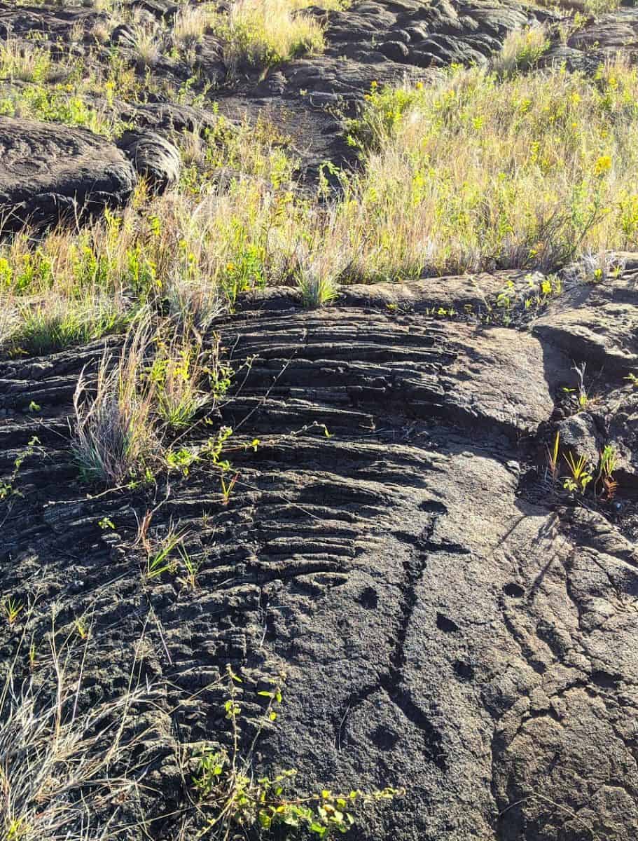 A Perfect 1 Day Itinerary at Hawaii Volcanoes National Park