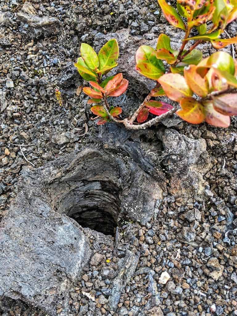 A Perfect 1 Day Itinerary at Hawaii Volcanoes National Park