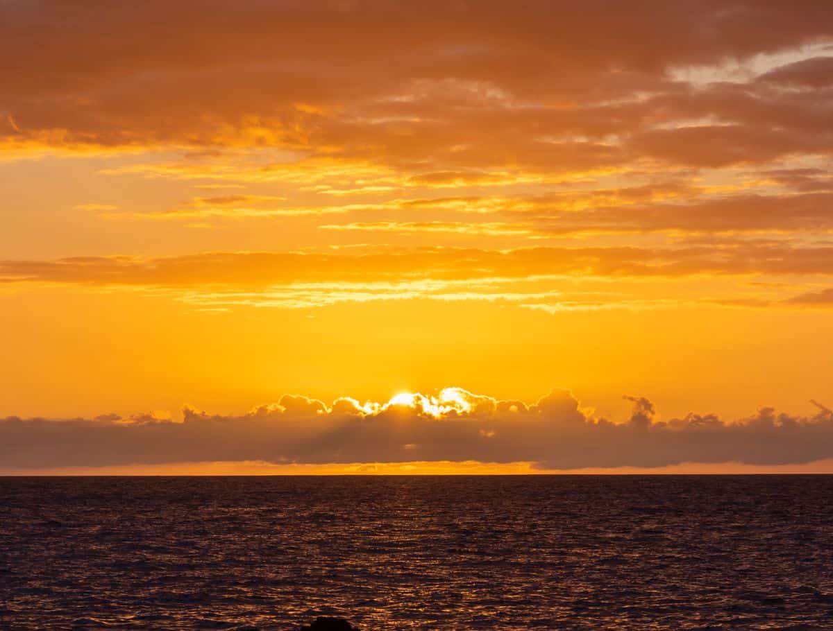 21 Reasons to Visit Waikoloa: Best Things to See and Do