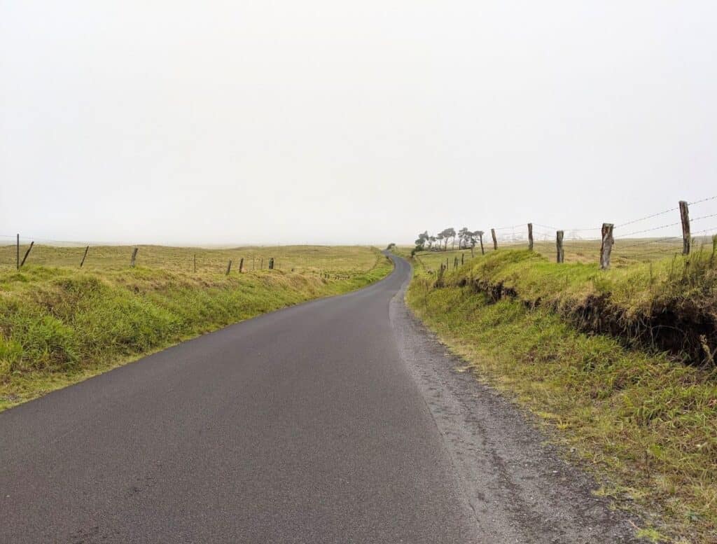 Is Waimea Worth Visiting on the Big Island? 13 Unique Things to Do